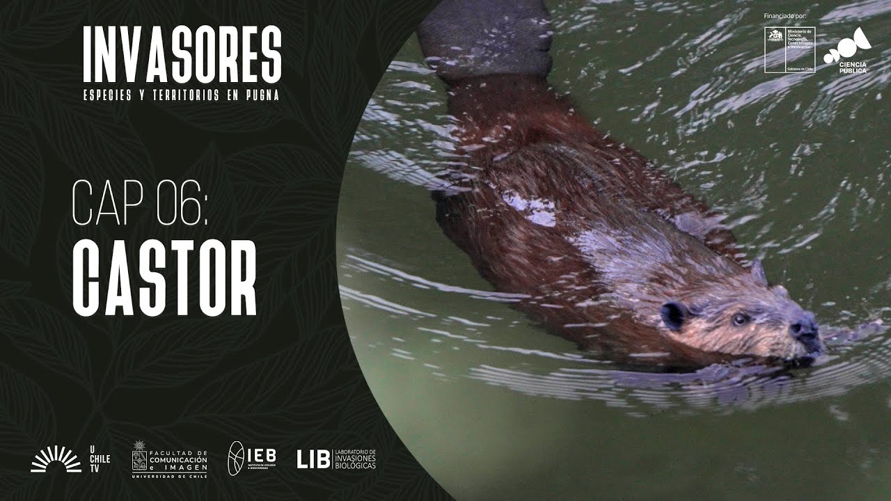 Invasores - Cap. 6: El Castor - YouTube
