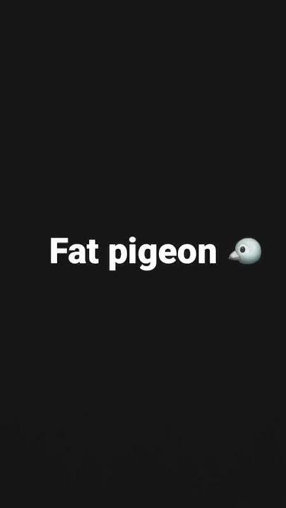 Juice Wrld Once Said Youtube