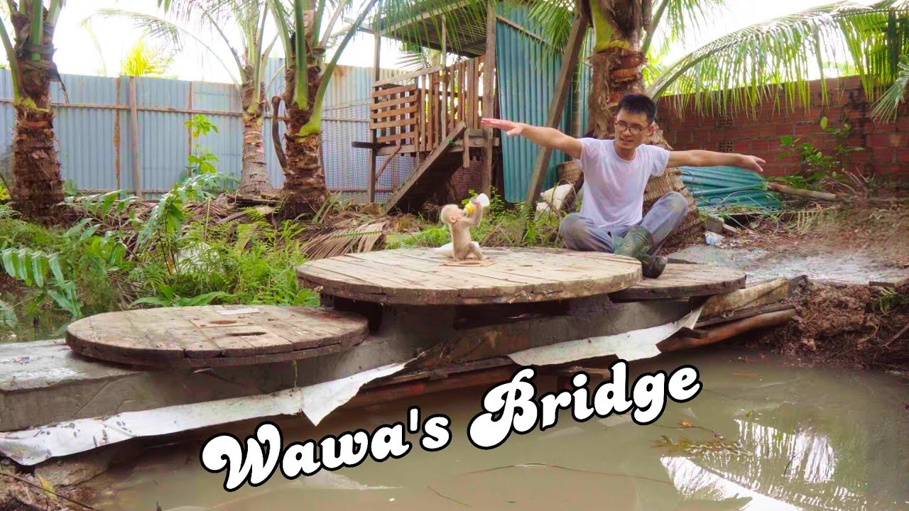 FINALLY Mike finished to build Wawa's Bridge, MONKEY WAWA so Happy to ...