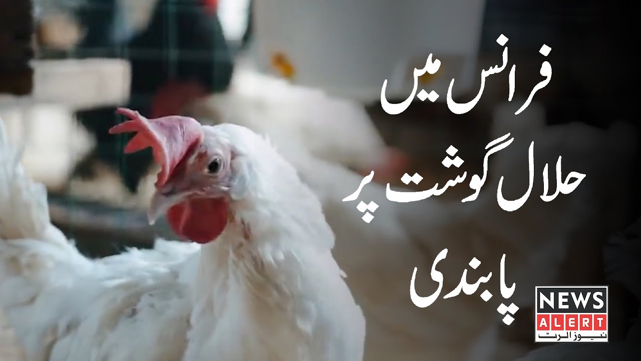Complete ban on halal meat in France - YouTube