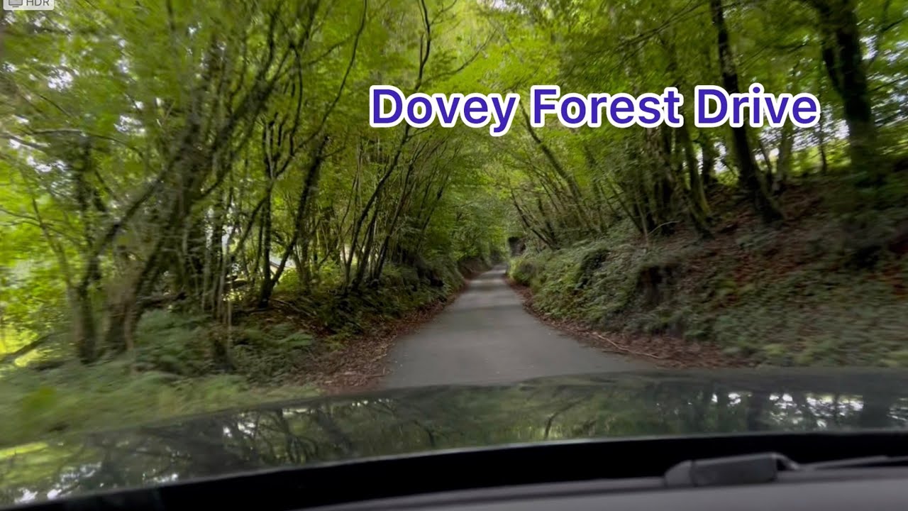 We’re off for a little adventure on a drive through the Dyfi Forest in ...