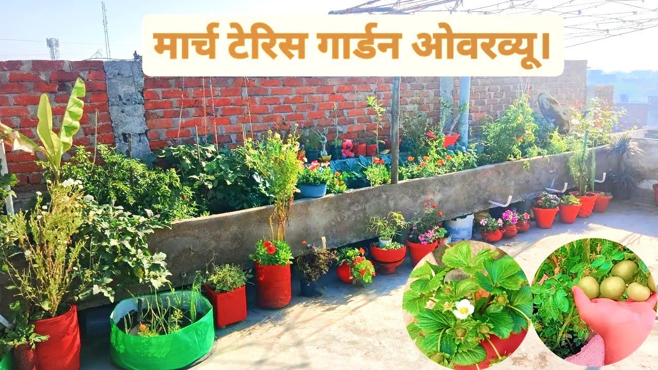 garden overview || March garden || planning || Overview of Terrace ...