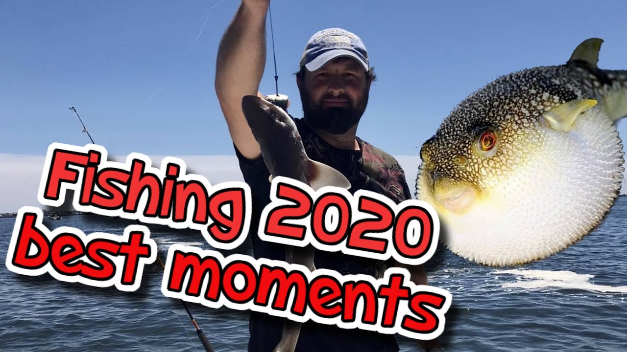 Fishing 2020 best moments NEW YORK (Shark, Porgy, Sugar toads fish ...