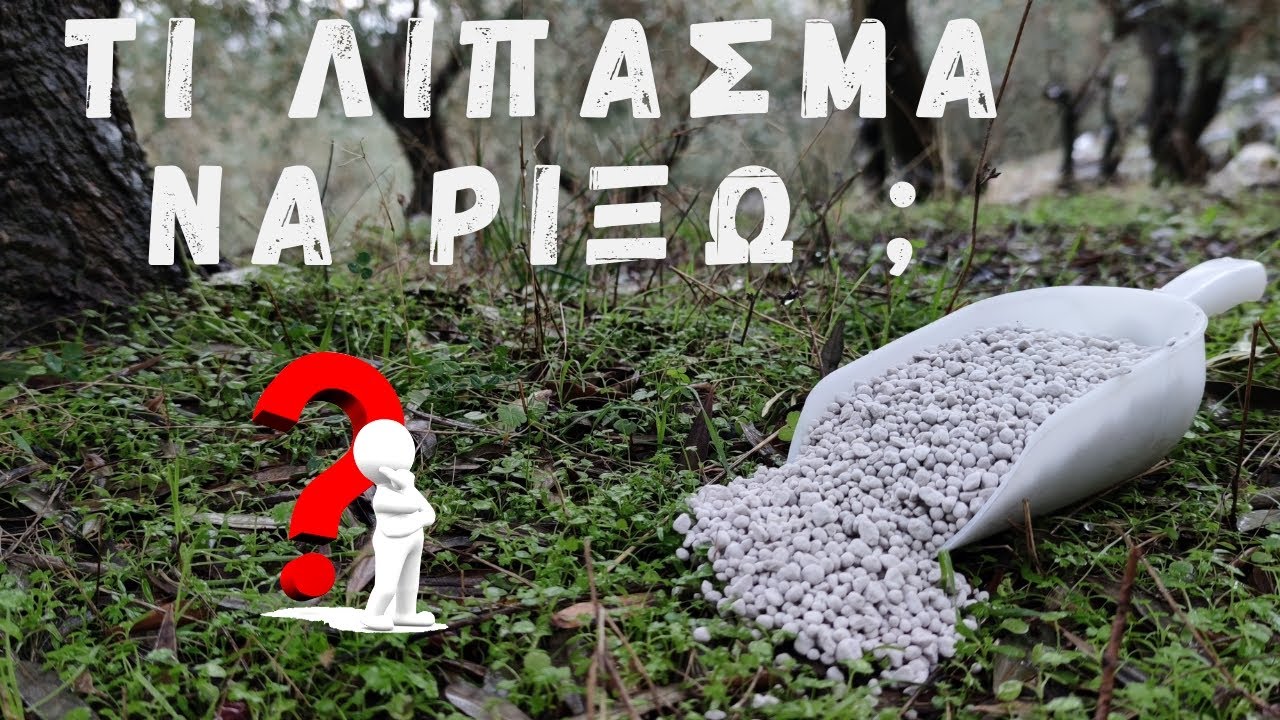 ΛΙΠΑΝΣΗ ΕΛΙΑΣ - ΤΙ ΛΙΠΑΣΜΑ ΝΑ ΡΙΞΩ ΣΤΙΣ ΕΛΙΕΣ - YouTube