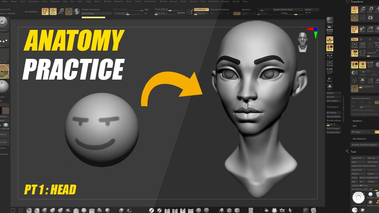 Anatomy Practice in Zbrush - Female Head (Stylized) - YouTube