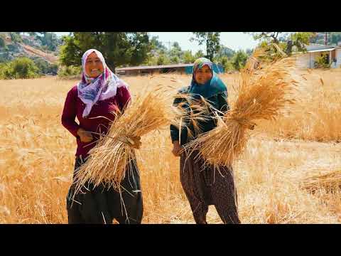 Mersinli kadın üreticilerimizin emeğiyle, en doğal haliyle, Mersinden.