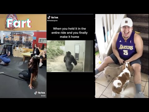 TIK TOK FARTS (super stinky) that will force a LOL 😵😵
