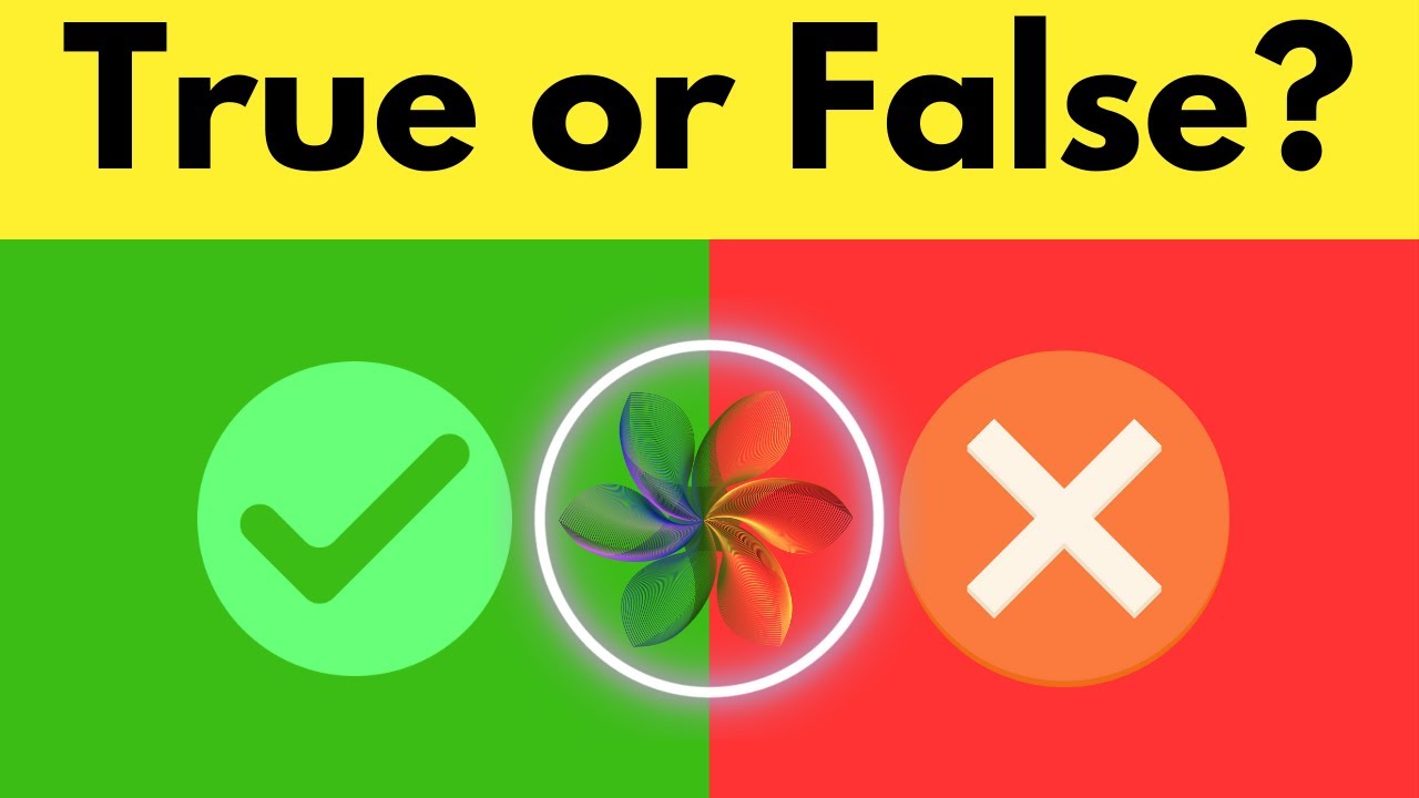 Test Your Knowledge: True or False on Shapes! | QuiznFactsVideo - YouTube