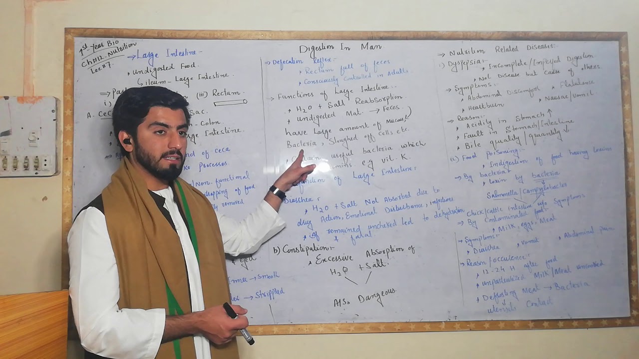 lecture 7 Biology (1st Year) Digestion in man - YouTube