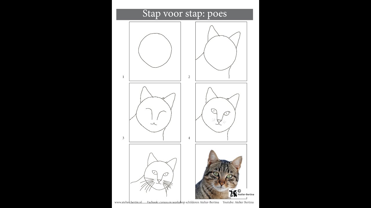 Dia poes / kat schetsen stap voor stap / cat sketches step by step ...