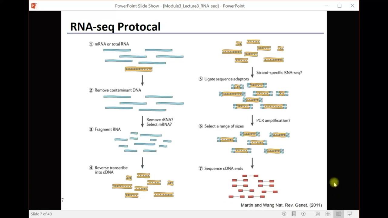 RNAseq Process Part 1 - YouTube