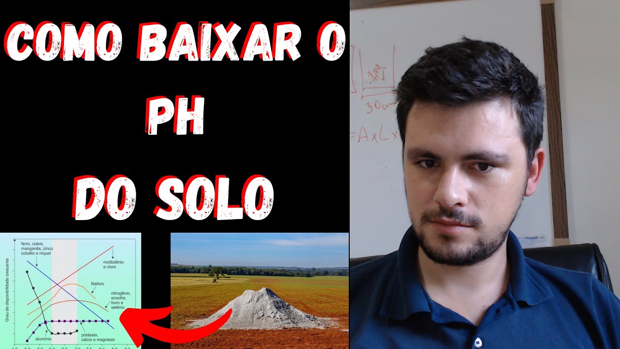 COMO BAIXAR o pH do solo I Problemas com solos alcalinos - YouTube