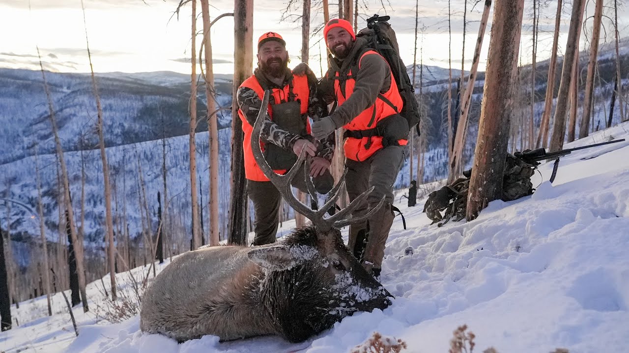 Hunting Late Season OTC BULL ELK in the SNOW | 4K HUSH VLOG - YouTube