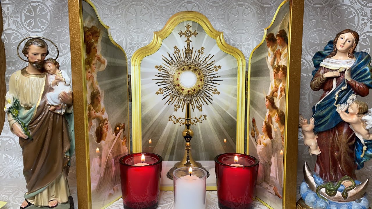 The Rosary Family Holy Hour - YouTube