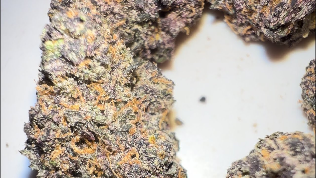 cereal milk Strain : StrainAfterStrain review - YouTube