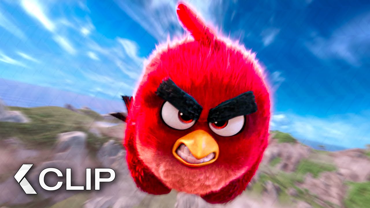 Reds Plan, um endlich die Schweine zu stoppen - ANGRY BIRDS: Der Film ...