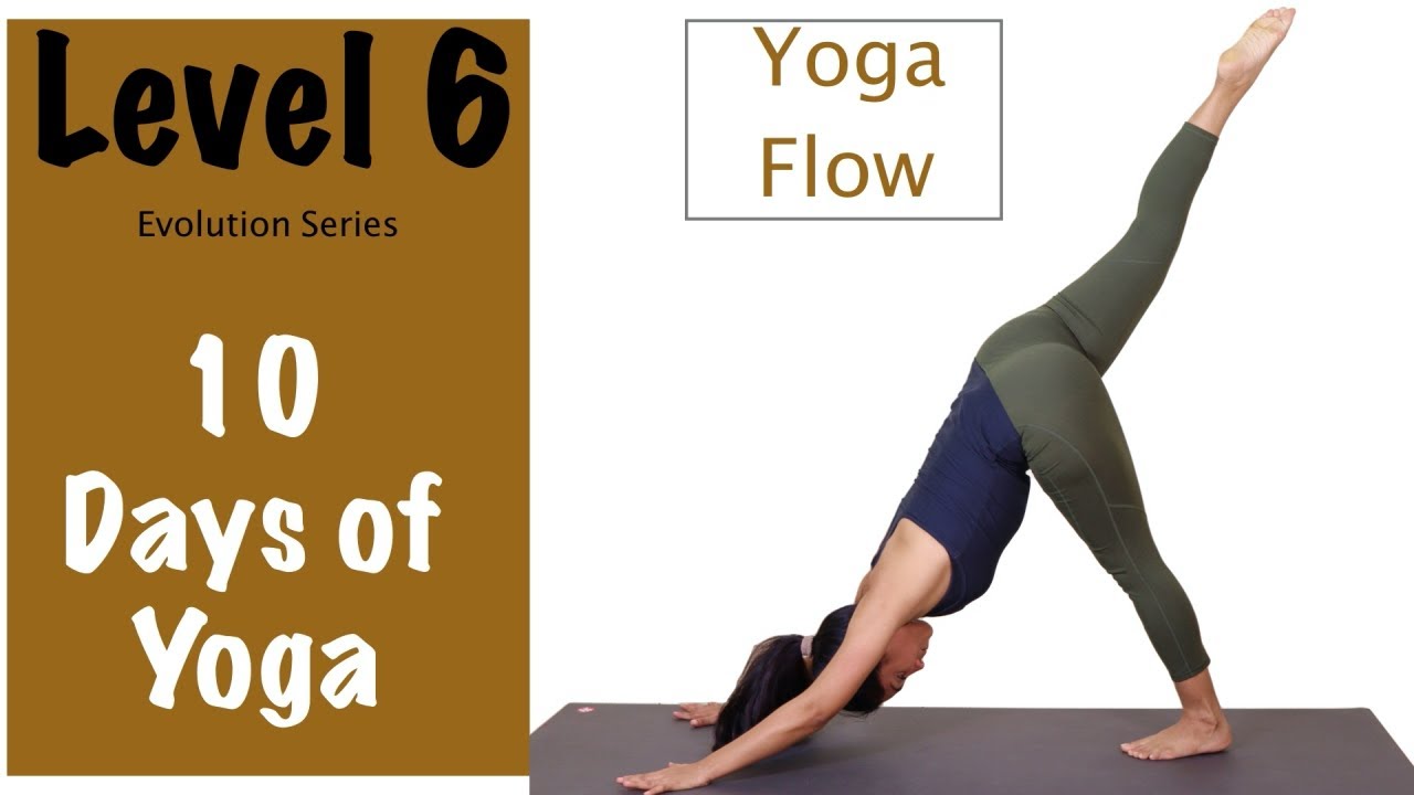 Level 6 - Yoga For Beginners - Yoga Flows - Evolution Series - Yogbela ...