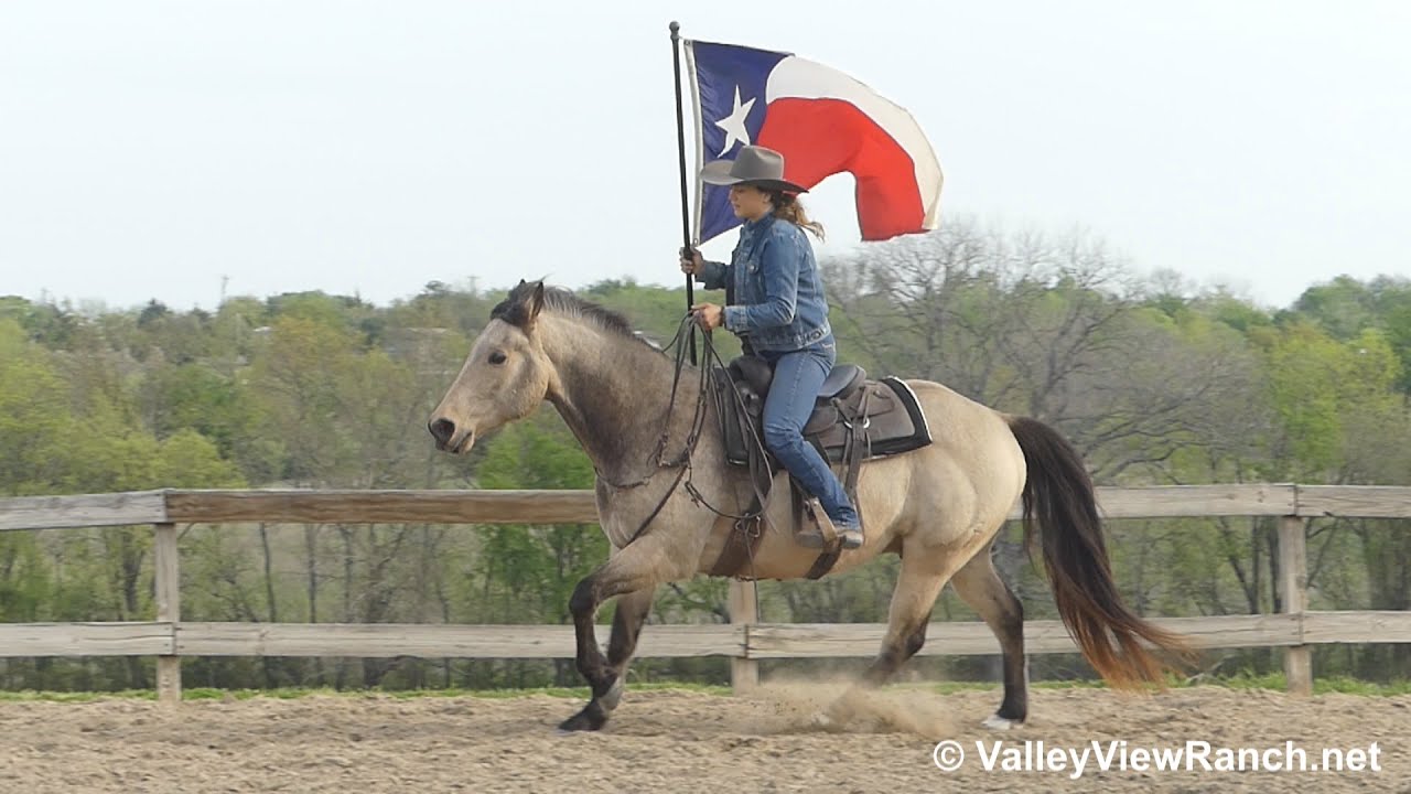 Blue Drift Bucky - carrying the flag! - ValleyViewRanch.net - YouTube