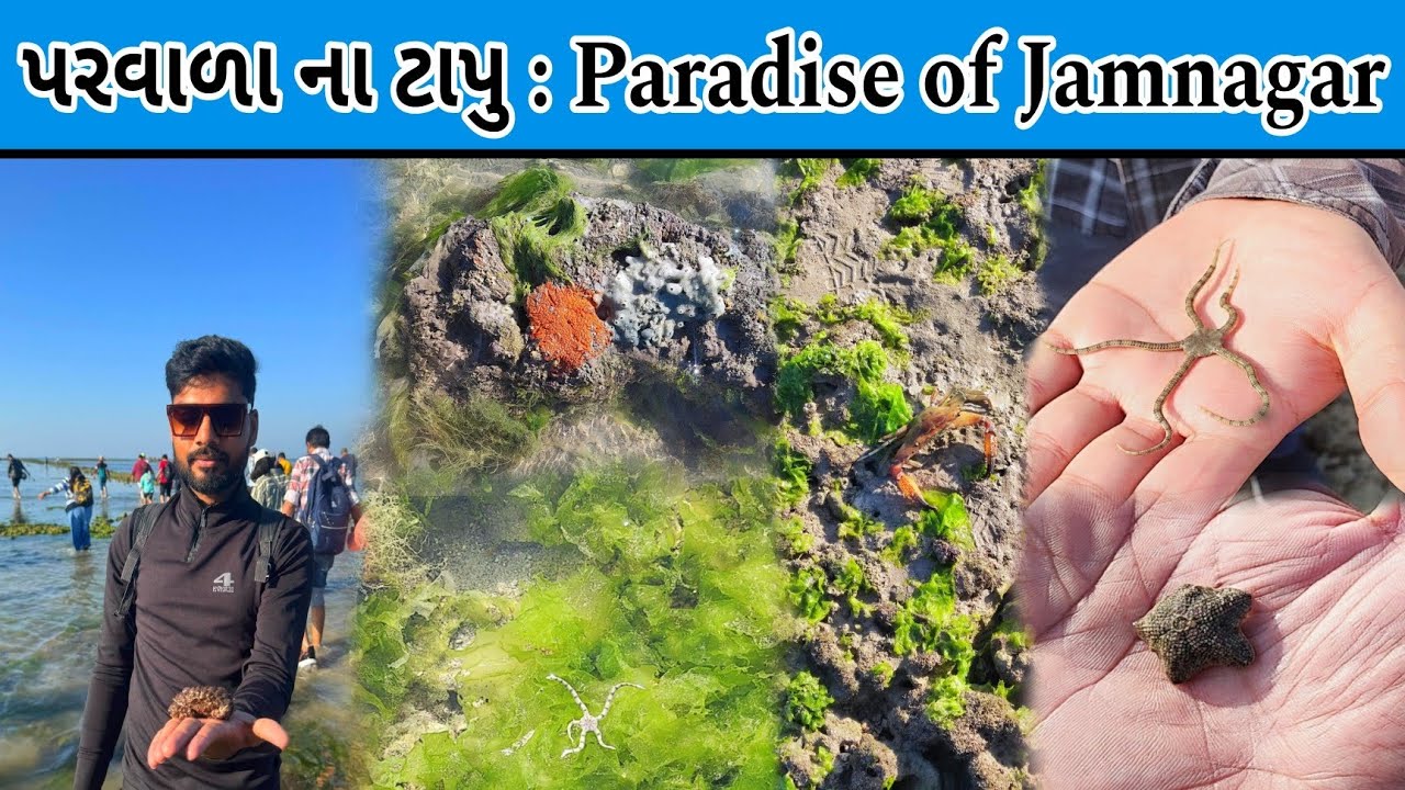 Narara Island Jamnagar | Gujarat | Marine National Park - YouTube