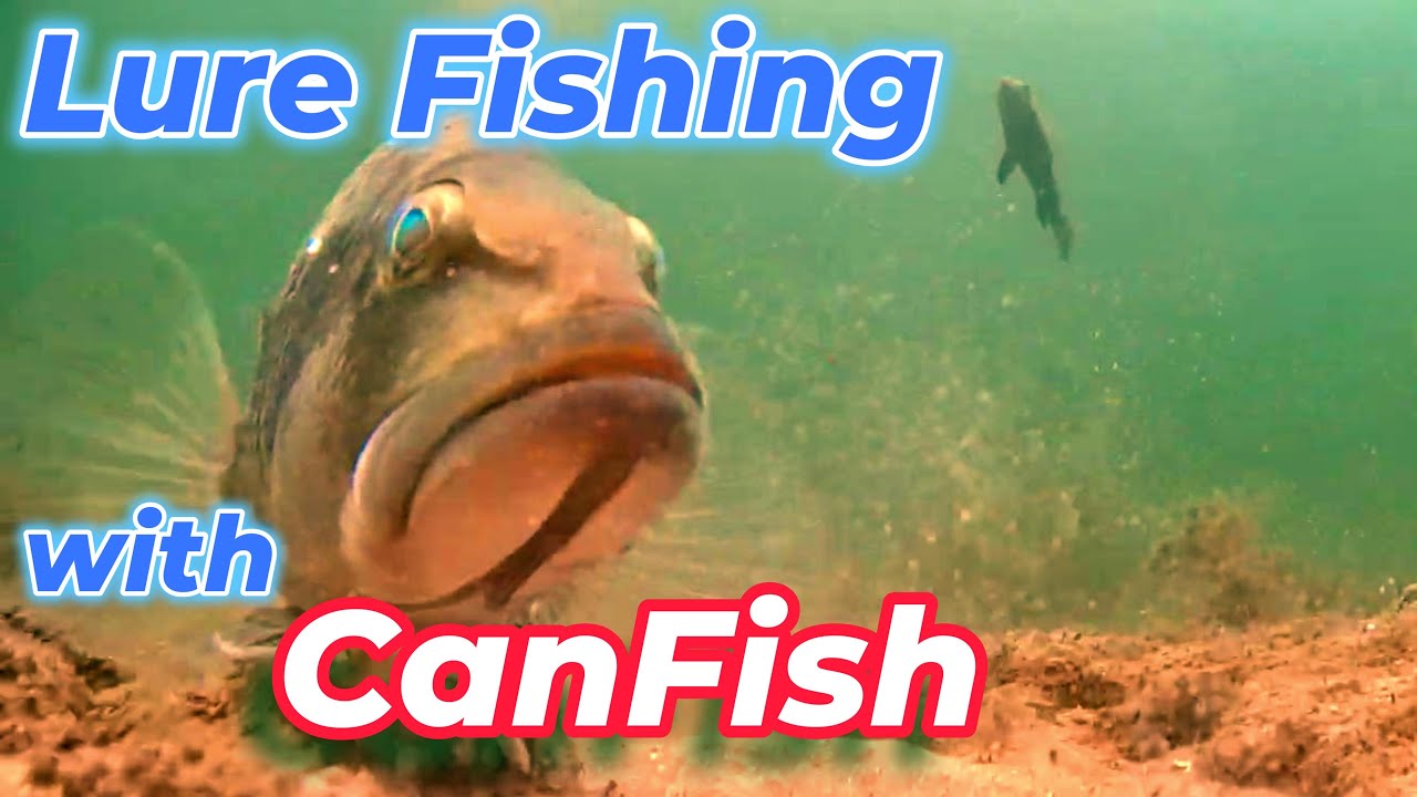 Testing the CanFish Camera: How Handmade Lures Perform Underwater! # ...