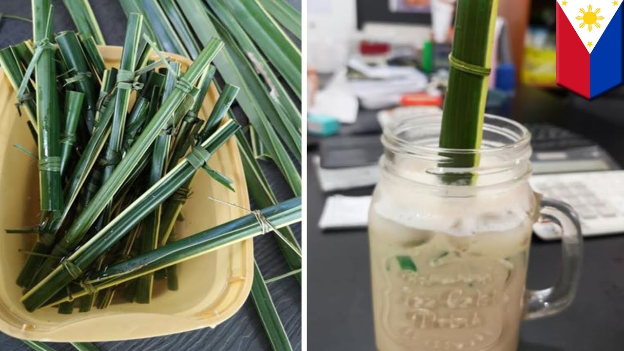 Cafe uses eco-friendly straws made from coconut leaves - TomoNews - YouTube