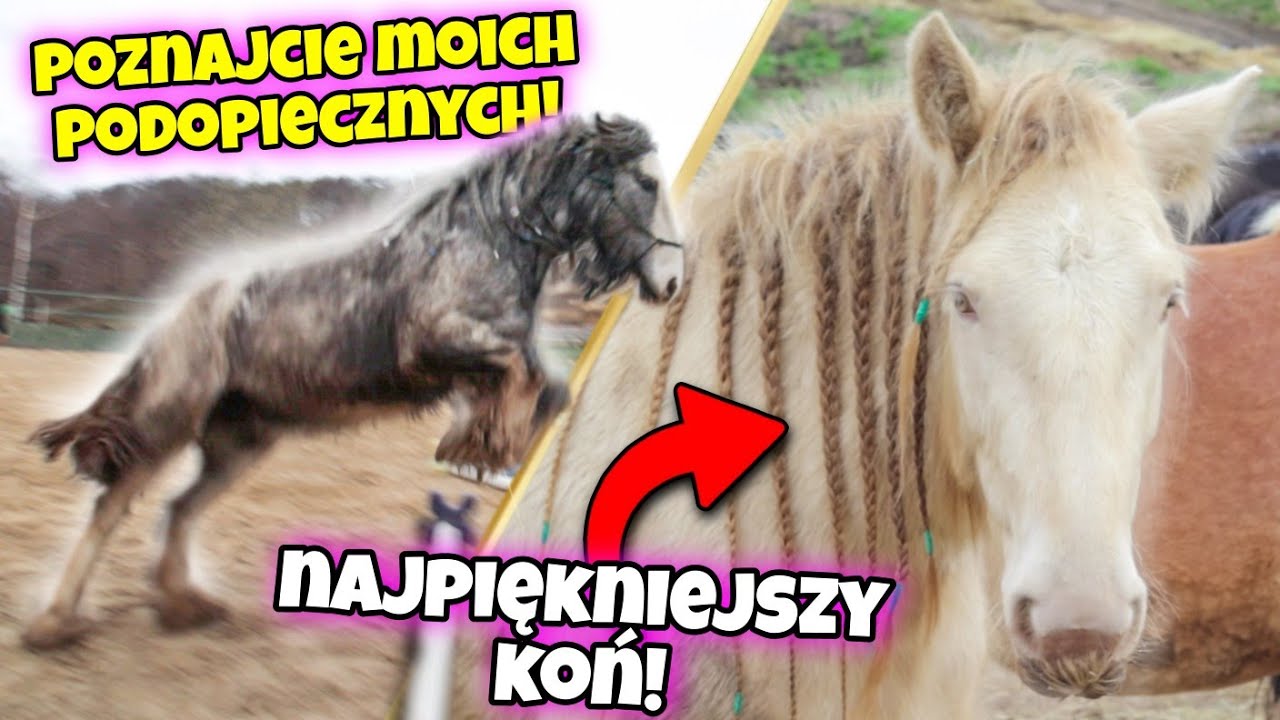 ODWIEDZIŁAM STAJNIE PODOLIN! - YouTube