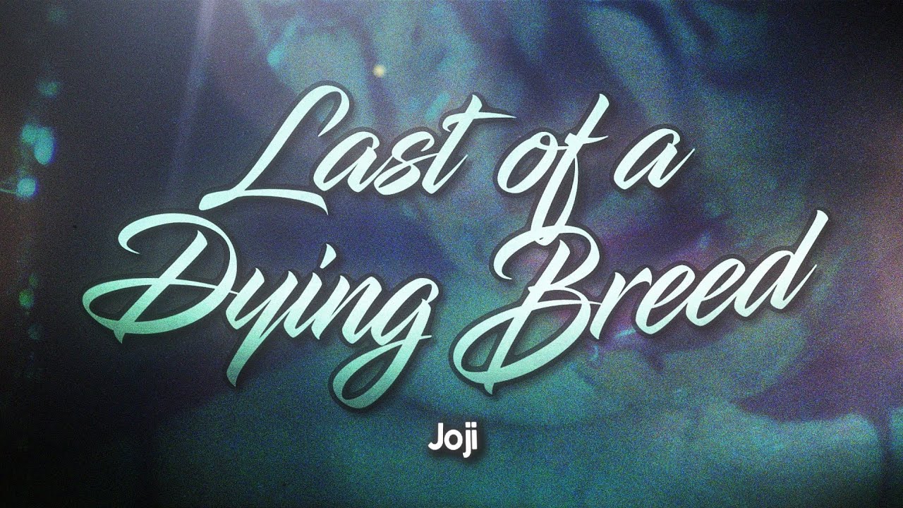 Joji - Last of a Dying Breed (Lyrics) - YouTube