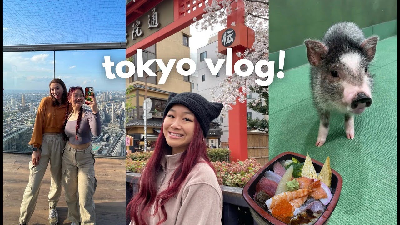 JAPAN VLOG🇯🇵🍡🍜 what i ate + things to do in tokyo! - YouTube
