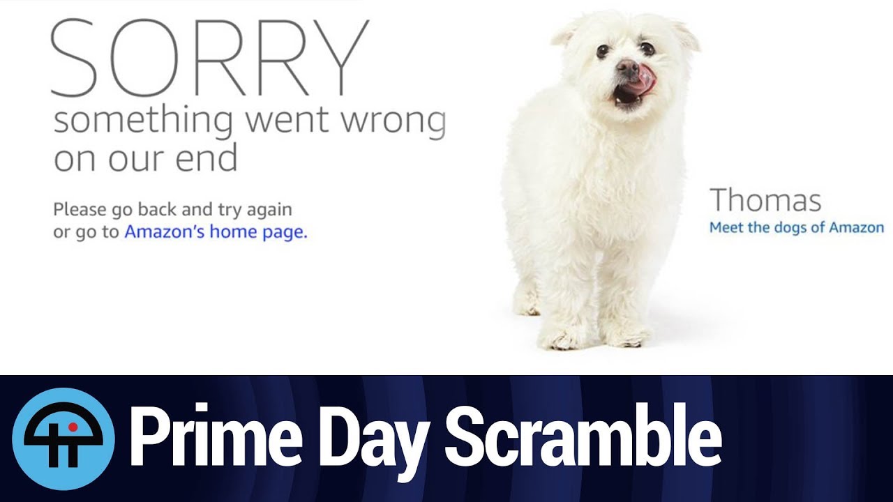 Prime Day: Successful but Also a Dog Day Afternoon - YouTube