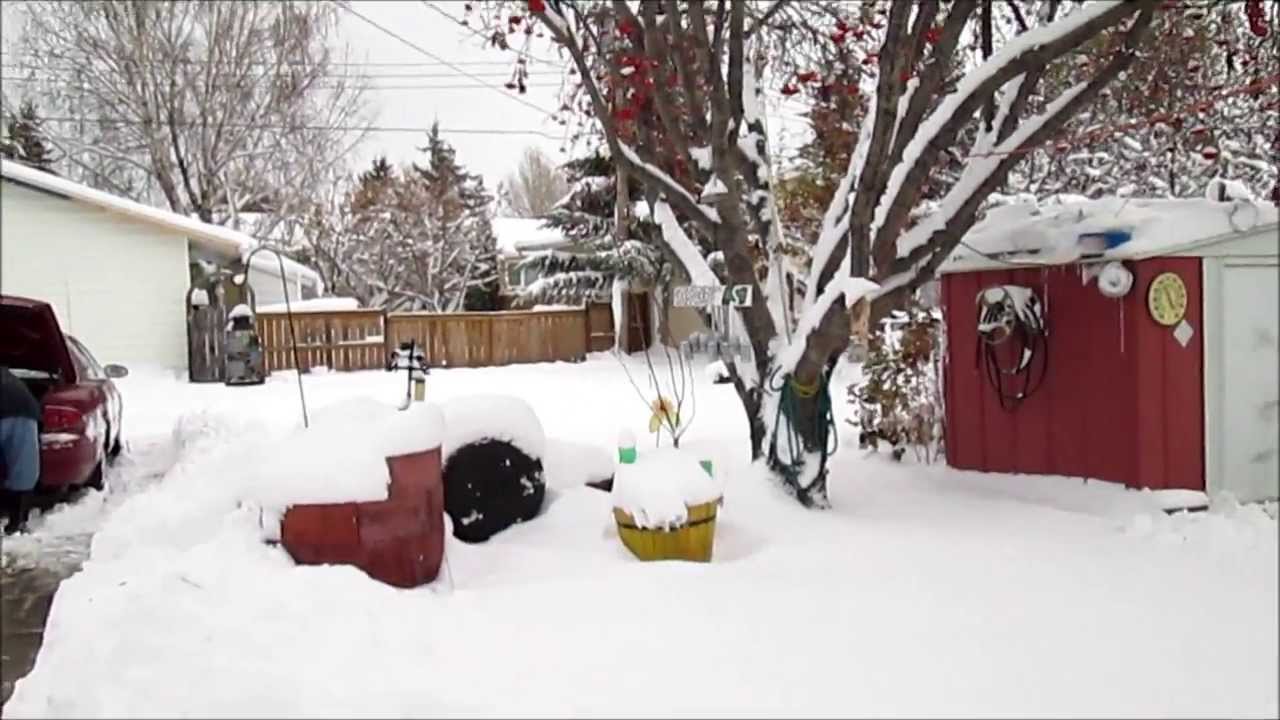 First snow of Winter 2013 - November 3, 2013 - Blackfalds, Alberta ...