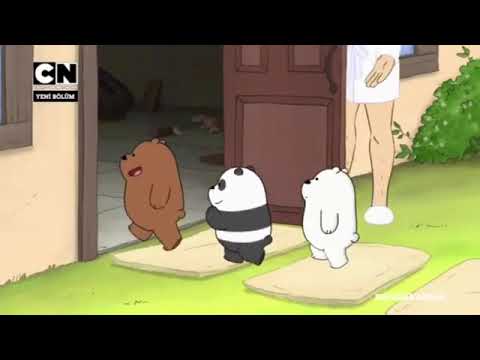 Kafadar Ayıları | Bebek Ayılar Evlat Edildilar | Kısa Bölümlar