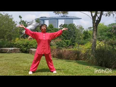 ALICE HO:功前热身Yangsheng Gong Warm up Exercise。