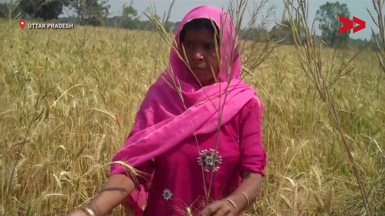 Woman Fights For Her Rights | Raeesh reports for IndiaUnheard - YouTube