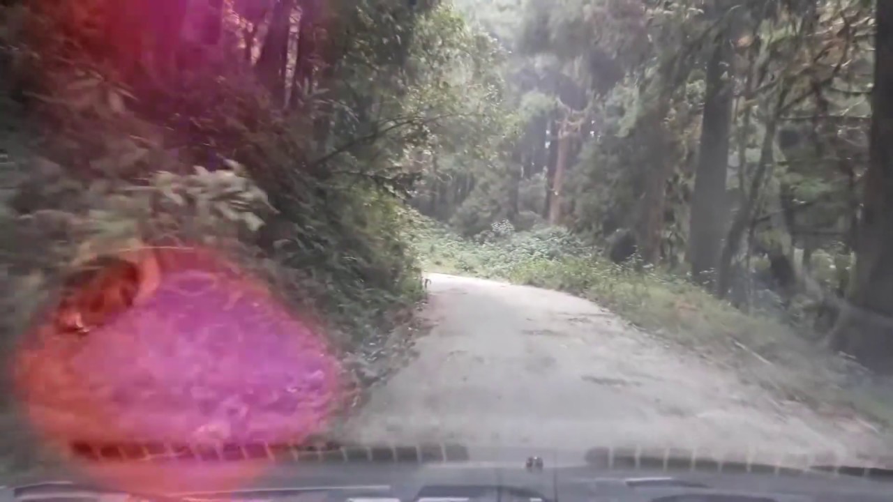 Lava from Lolegaon through Neora Valley - RMR On Trip - YouTube