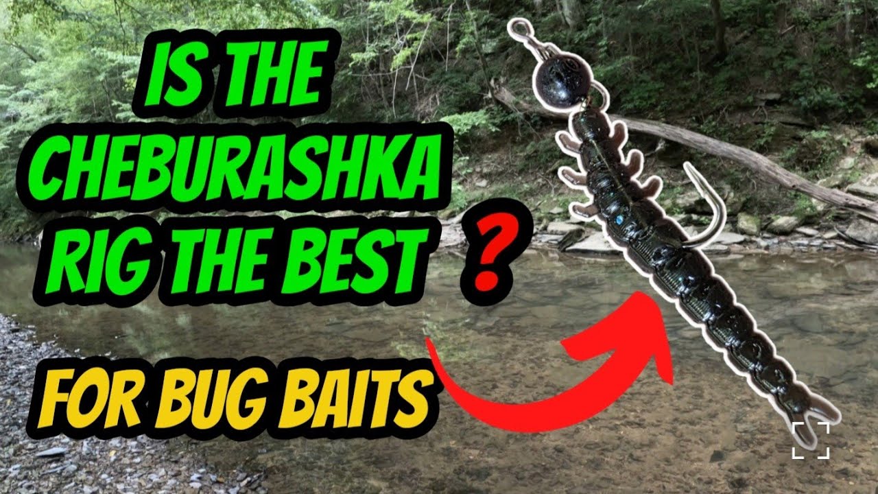 (The Cheb Rig) Multi Species Ultralight fishing! - YouTube