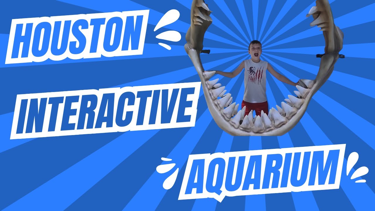 Exploring the Houston Interactive Aquarium and Nature Preserve! - YouTube