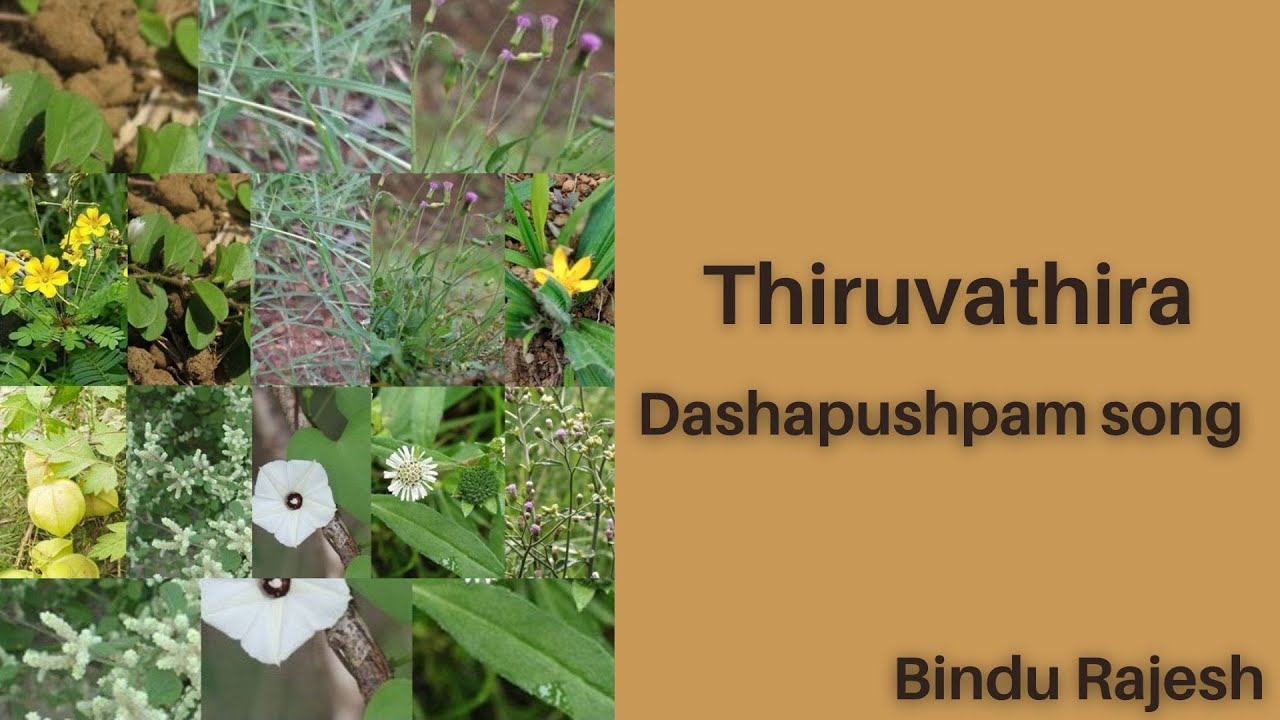 Thiruvathira | Dashapushpam | Bindu Rajesh - YouTube