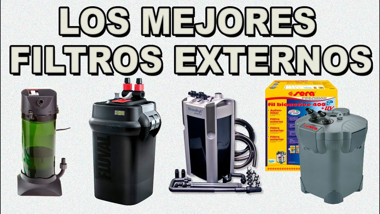 Que filtro poner en mi acuario | Guía comparativa de los mejores ...