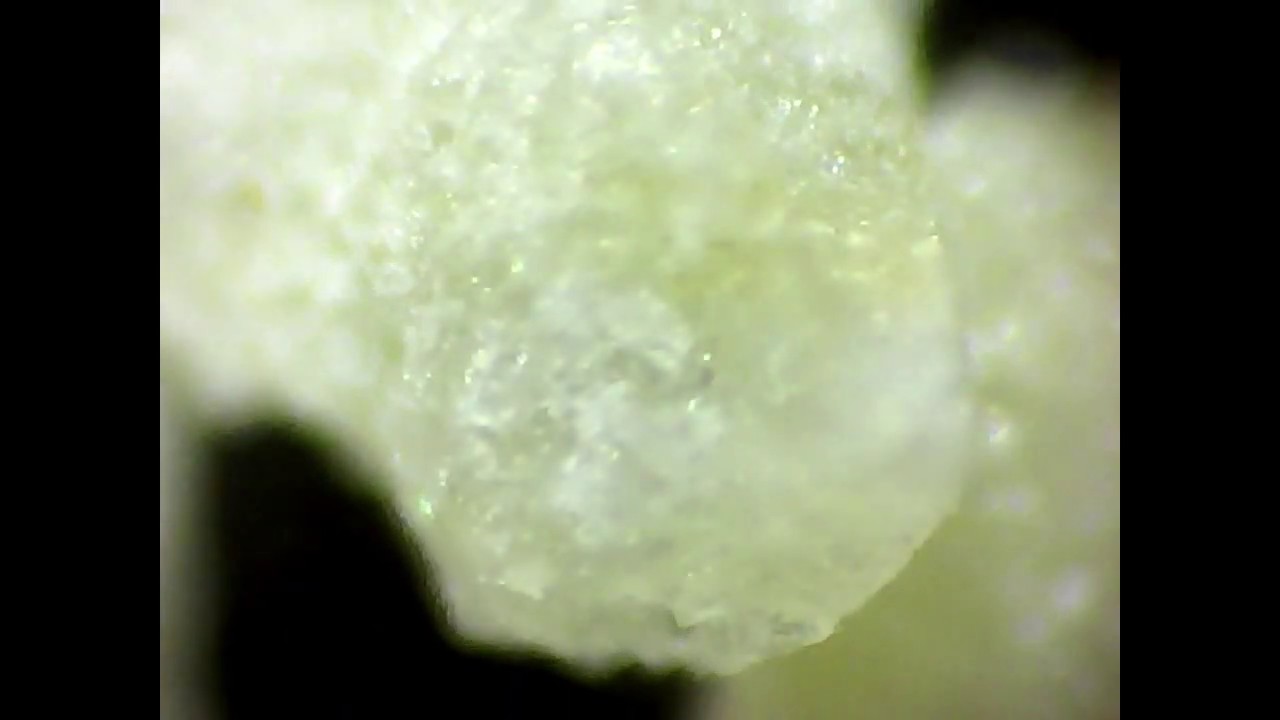 Spices under a microscope - YouTube