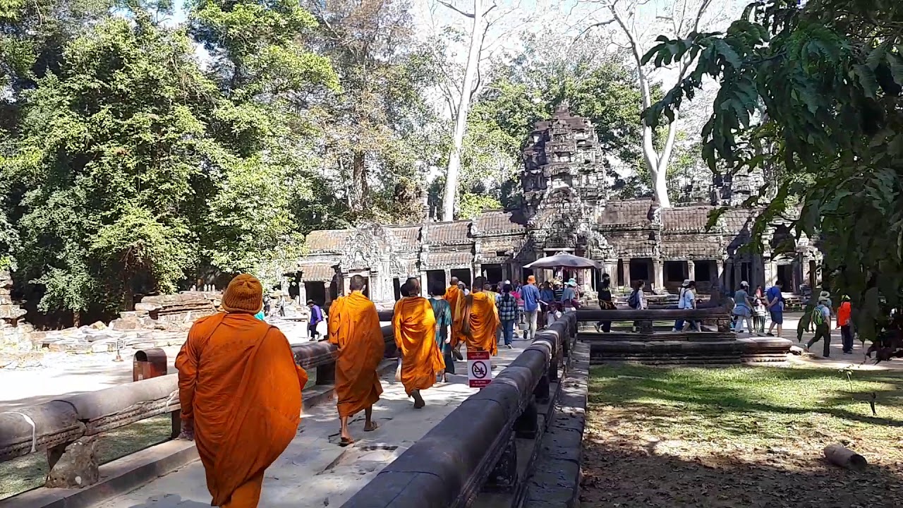 Ta Prom Temple in Cambodia - YouTube