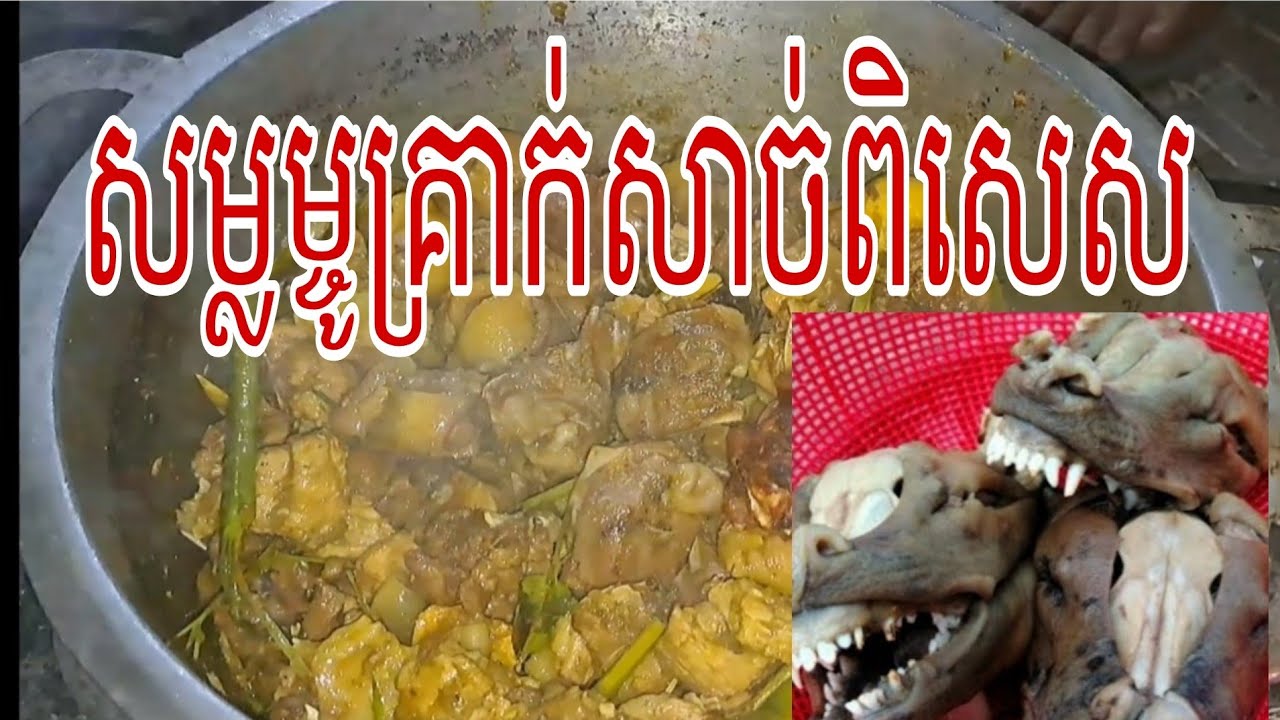សម្លម្ចូគ្រាក់ សាច់ពិសេស /Wild dog meat - YouTube