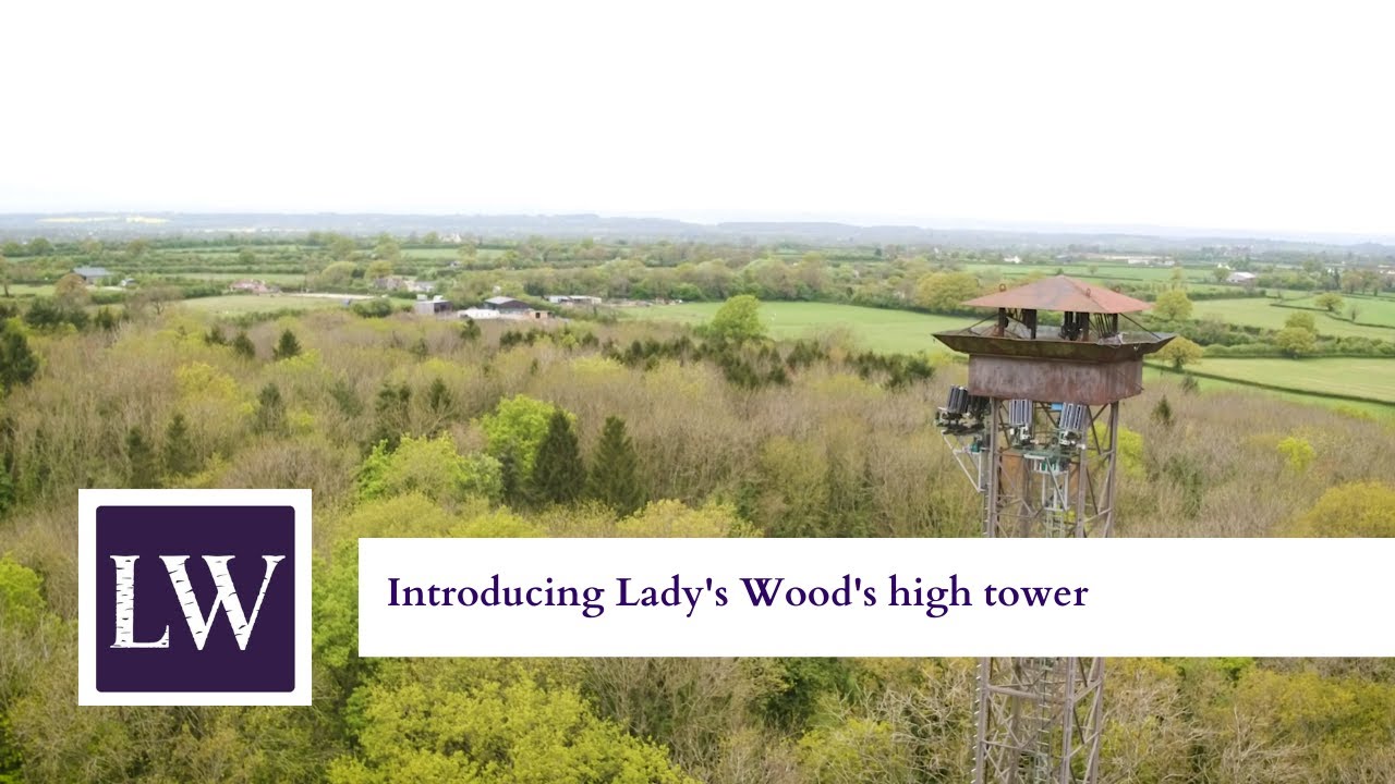 Introducing Lady's Wood High Tower | Lady's Wood - YouTube