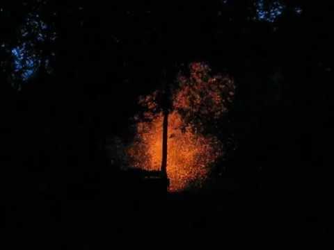 Exploding Cedar Tree - YouTube