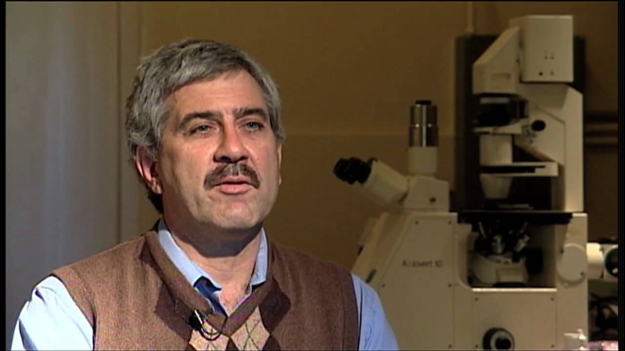 Professor Richard Cardullo on Why Biology is Important - YouTube