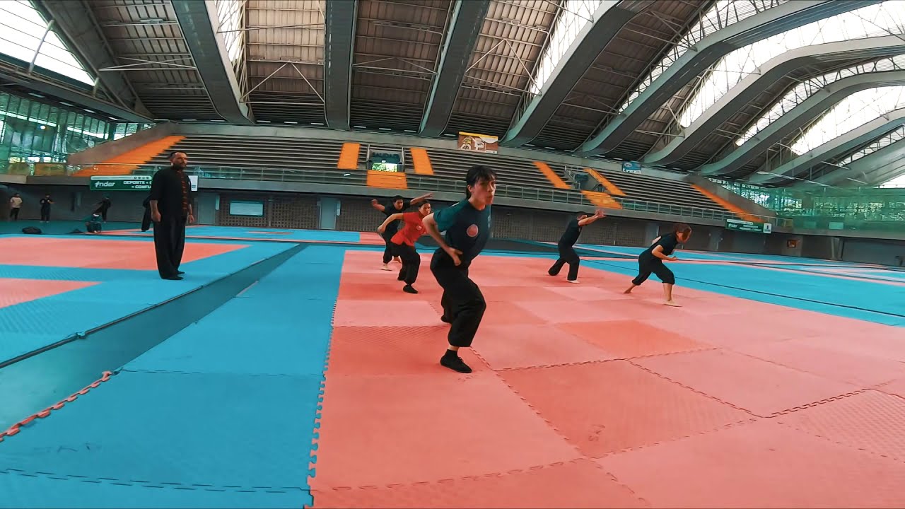 Kung Fu - Wushu Medellín Shaolin Luo Han quan - YouTube