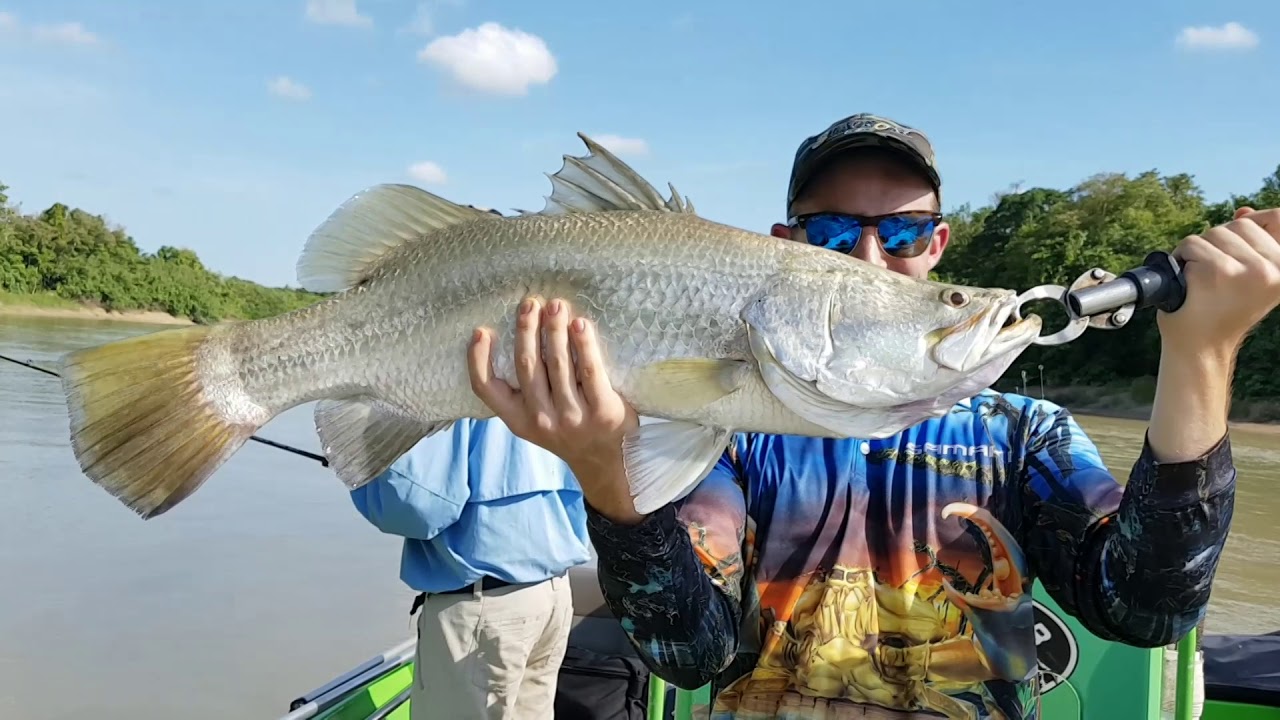 Darwin Barra and Crab Video 1 - YouTube