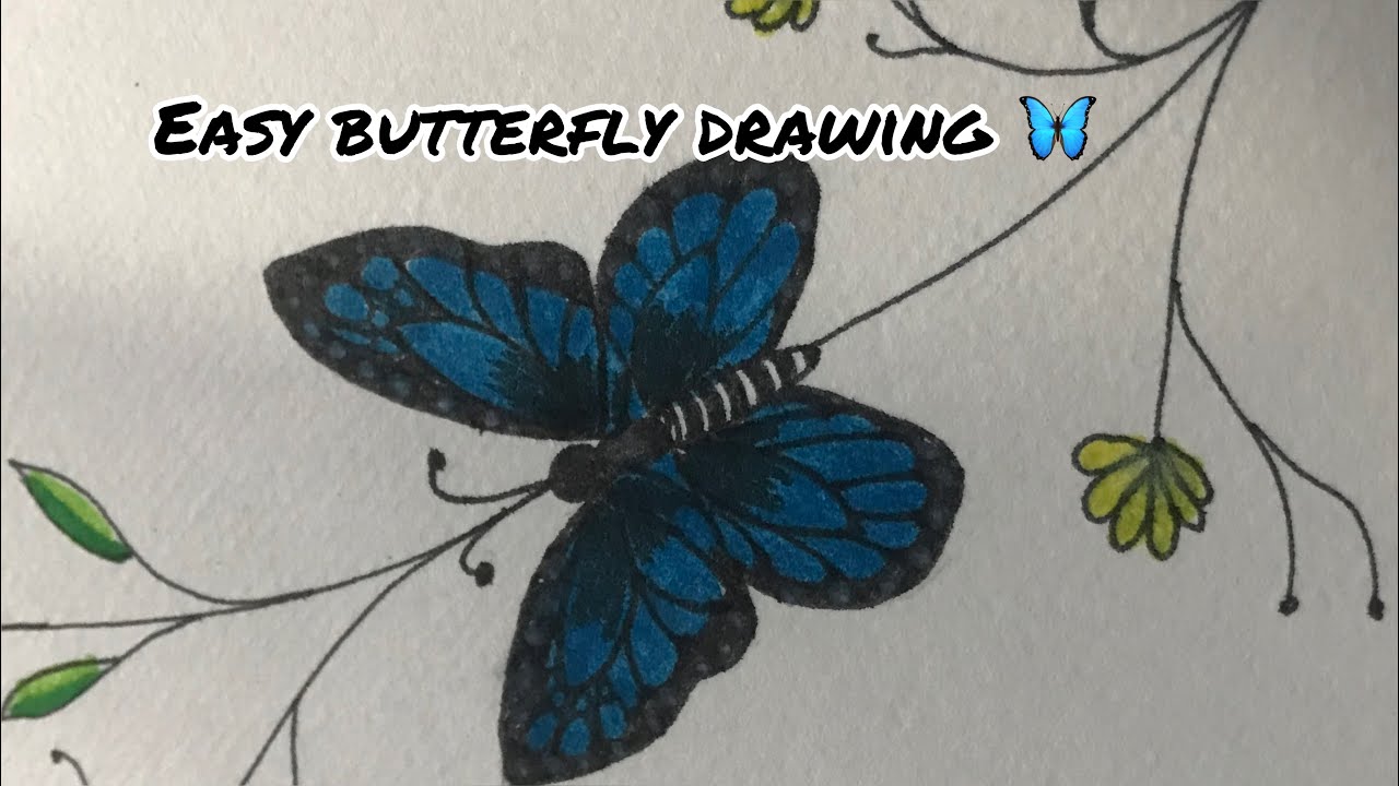 Easy step by step butterfly drawing #drawingforbeginners #bluebutterfly ...