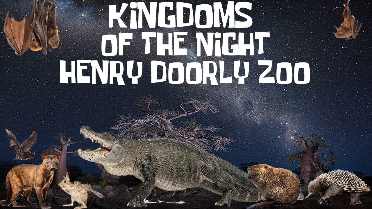 Uncaged Zoo Tours: Kingdoms of the Night at the Henry Doorly Zoo ft ...