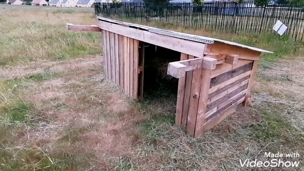 Abri à moutons en palettes - YouTube