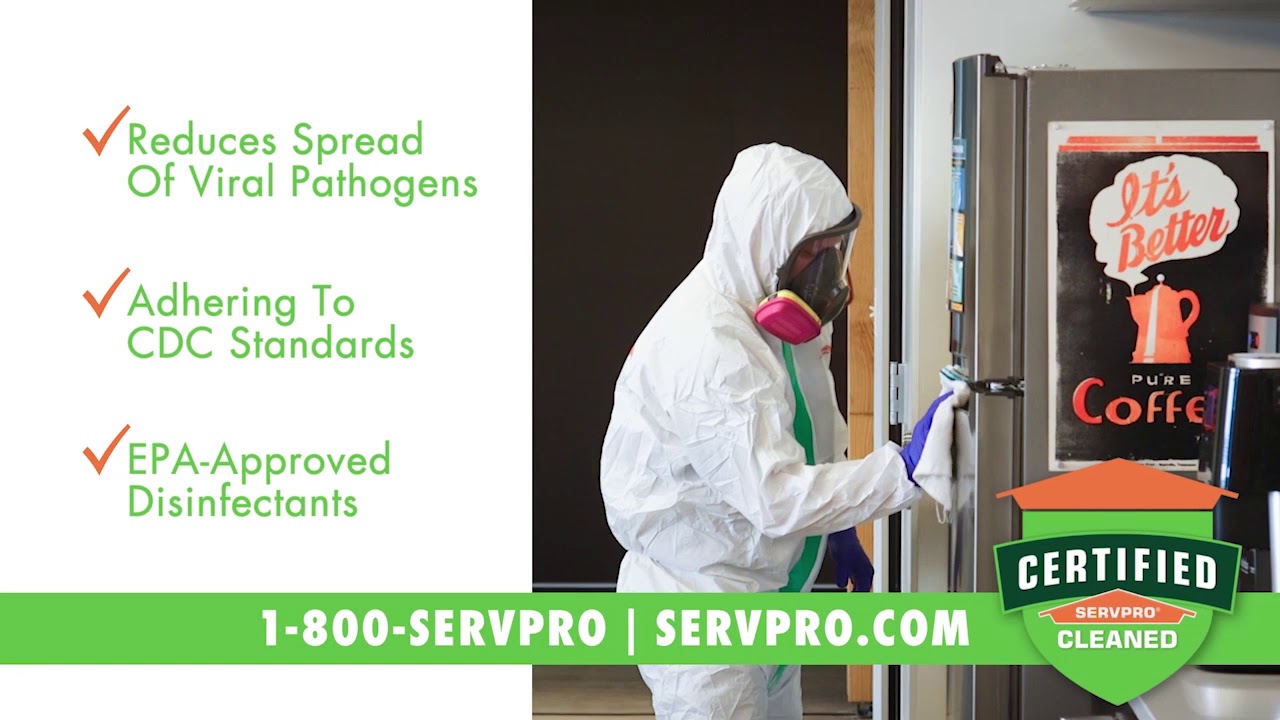 Certified SERVPRO Cleaned - YouTube